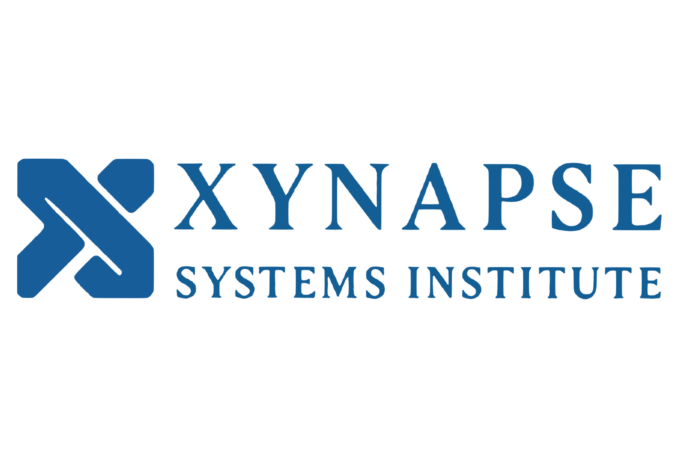 XYNAPSE SYSTEMS